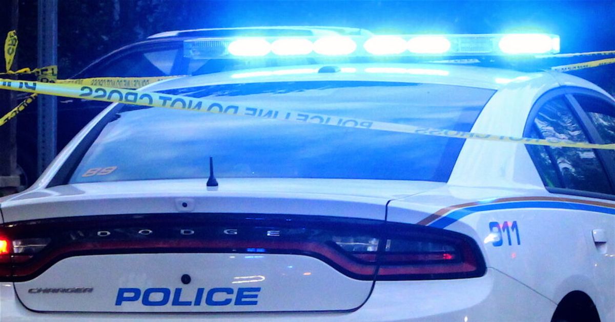Pedestrian struck, killed on US 301