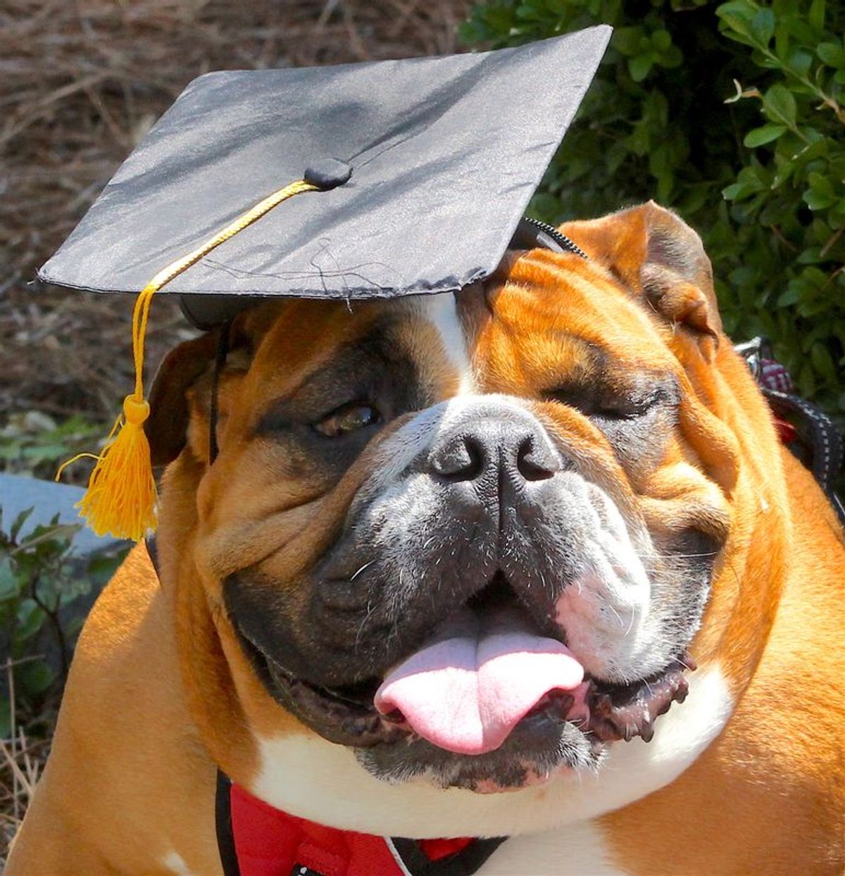 Barton honors 2 graduating classes