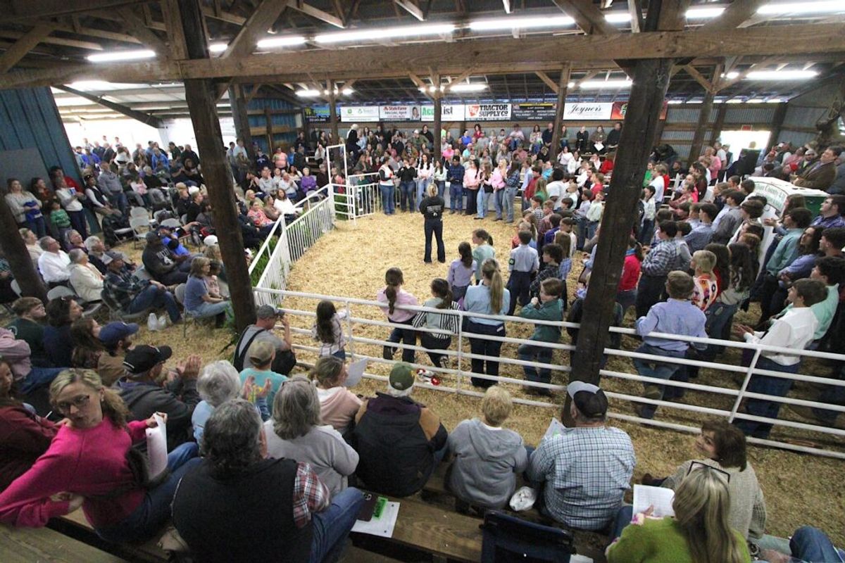 Our Opinion: Livestock show delights; Elm City disappoints