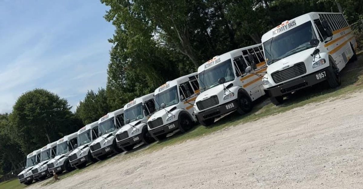 New activity buses hit the road