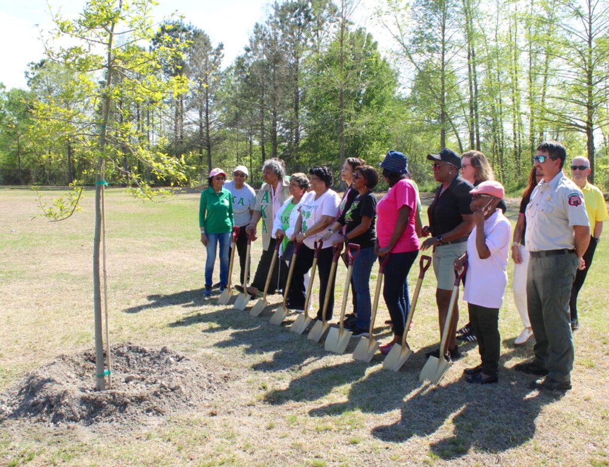 City plants tree to mark Arbor Day