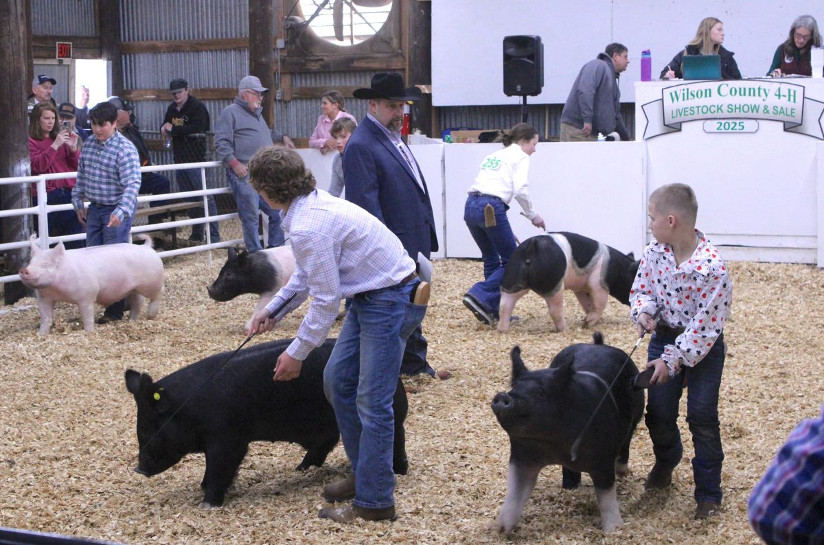 102 compete in livestock show