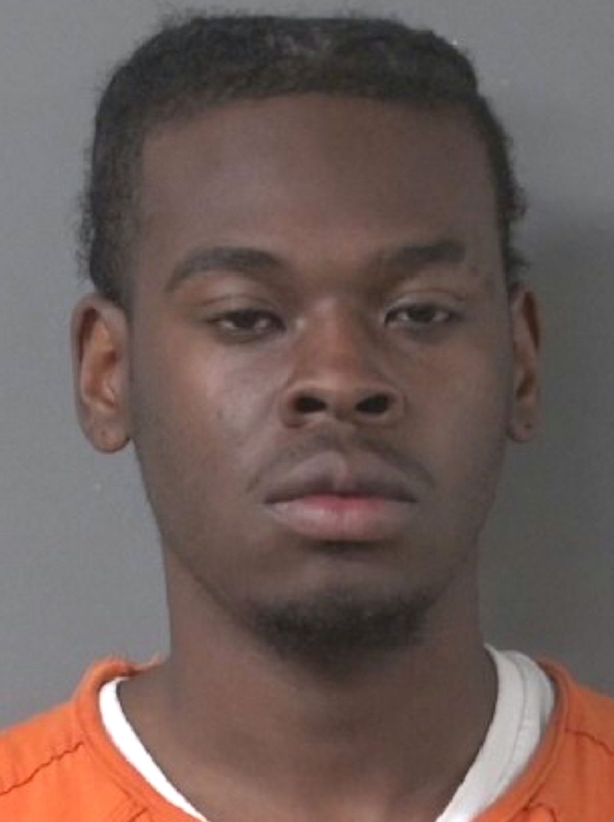 Driver breached checkpoint, nearly hit deputies