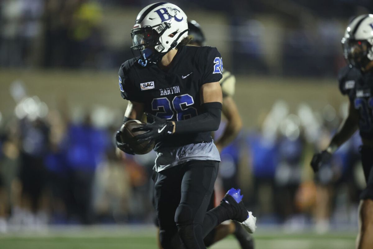 Wasps hand Bulldogs 41-0 loss