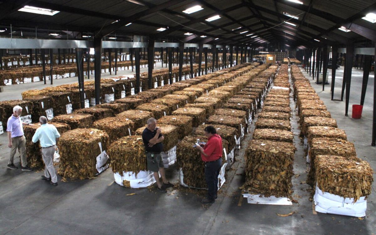 Big tobacco consolidates in Wilson
