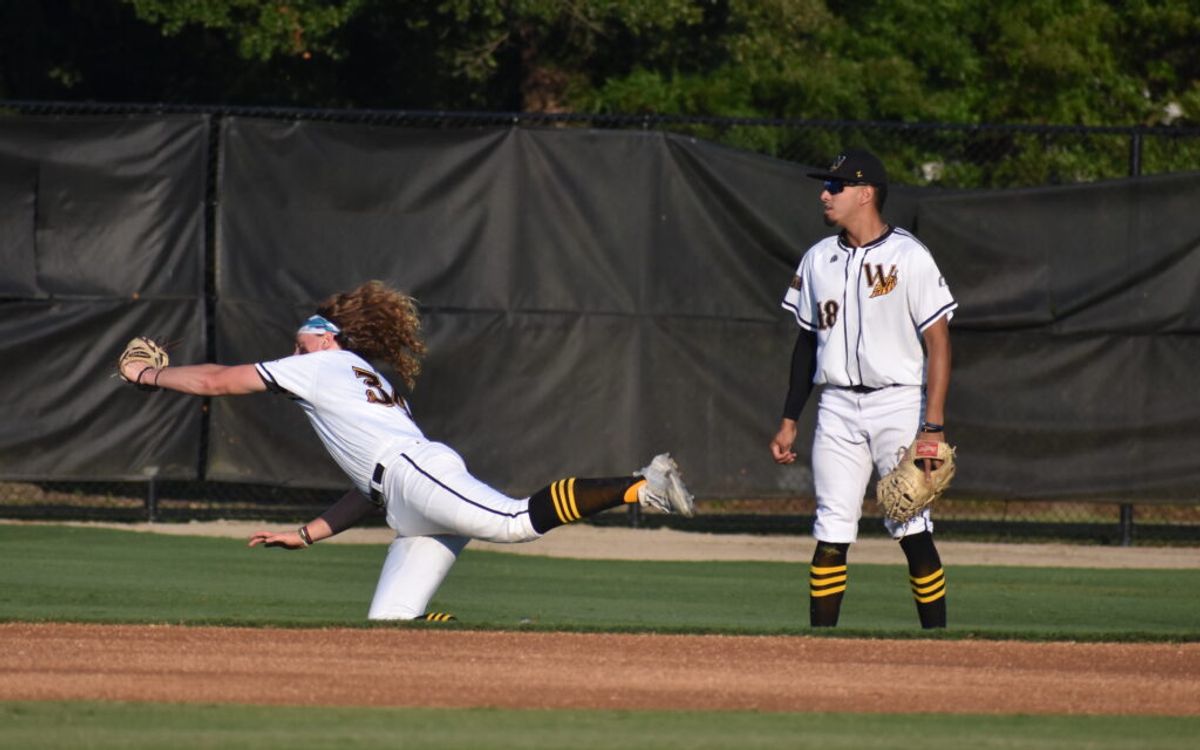 Tobs drop wild one to Salamanders