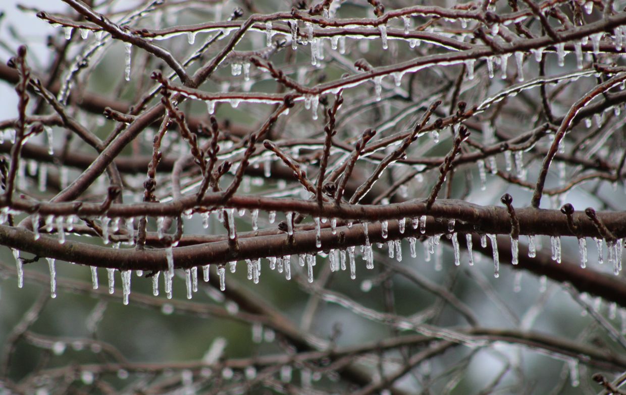 County under state of emergency as storm approaches
