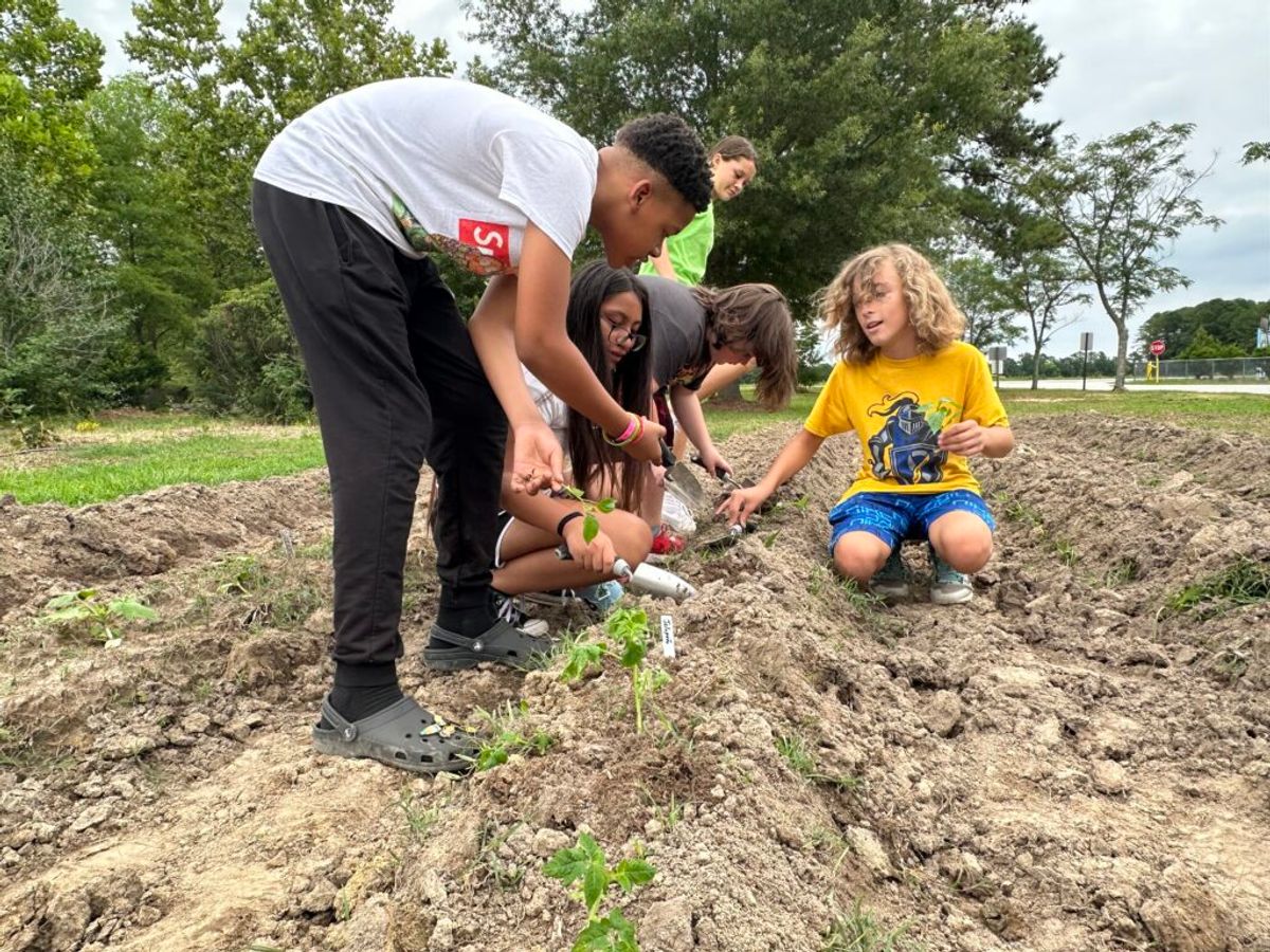 Middle schoolers learn about agriculture in summer program