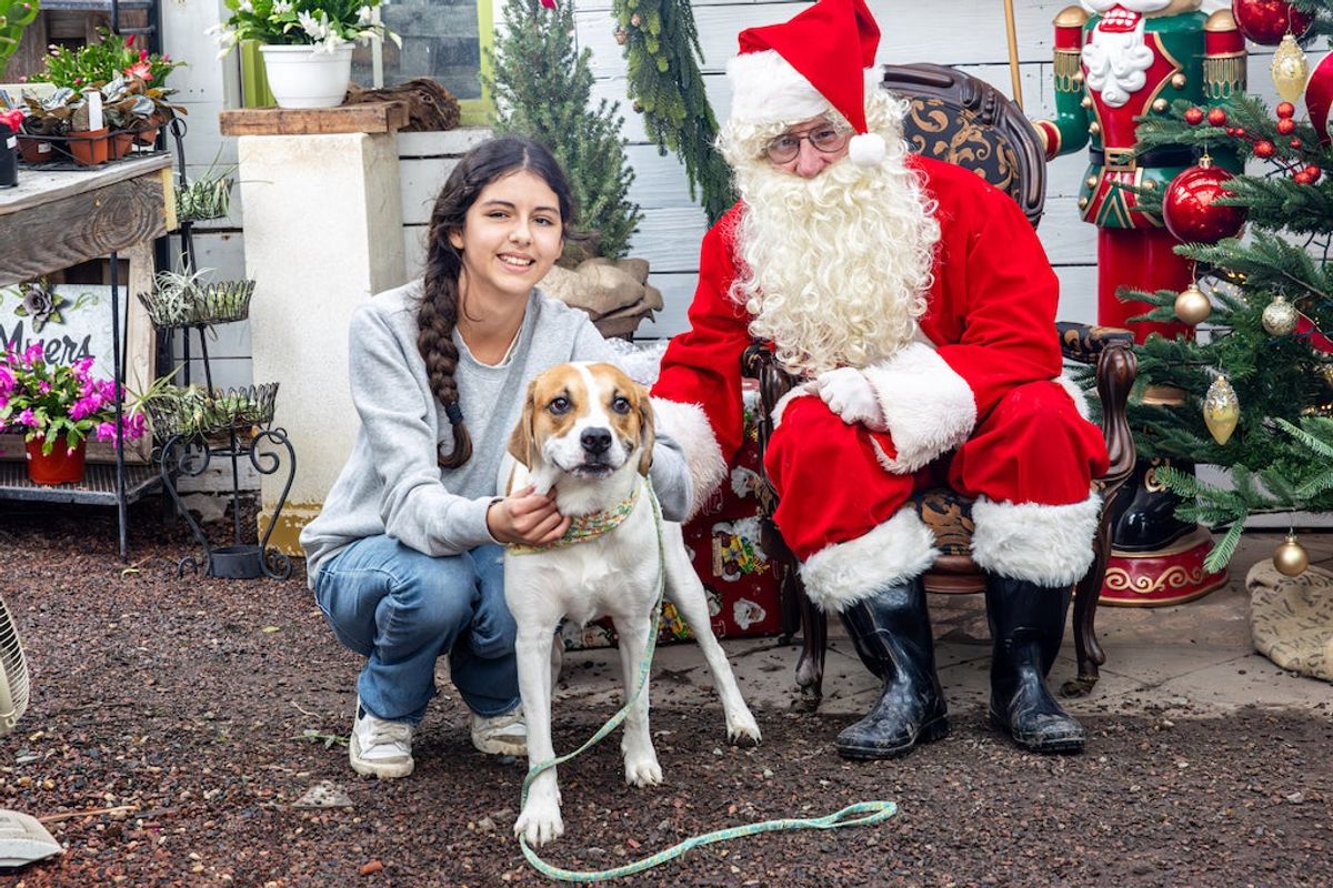 Shelby Humane hosts Holiday Pet Photos with Santa