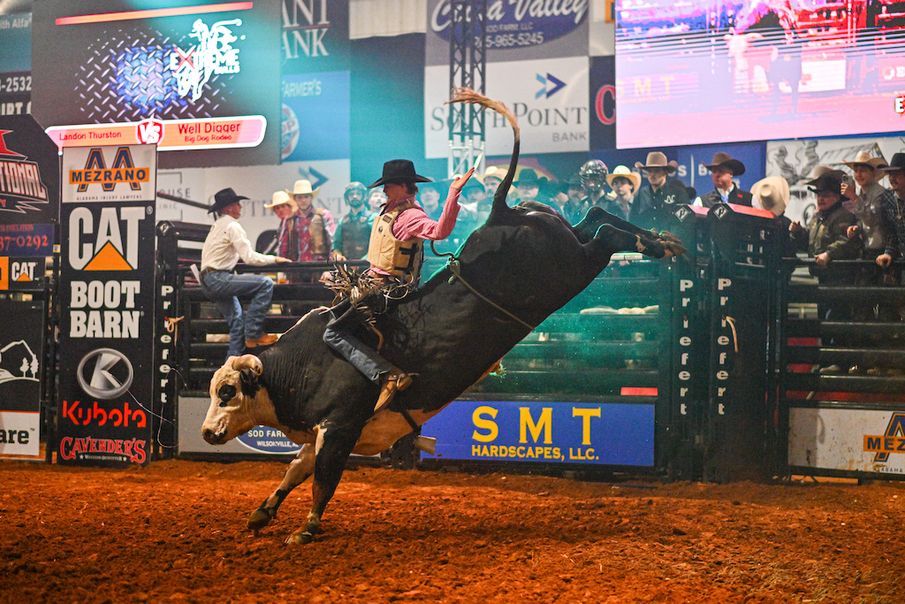 Crowds enjoy intense action at 17th Shelby County Extreme Bulls Rodeo