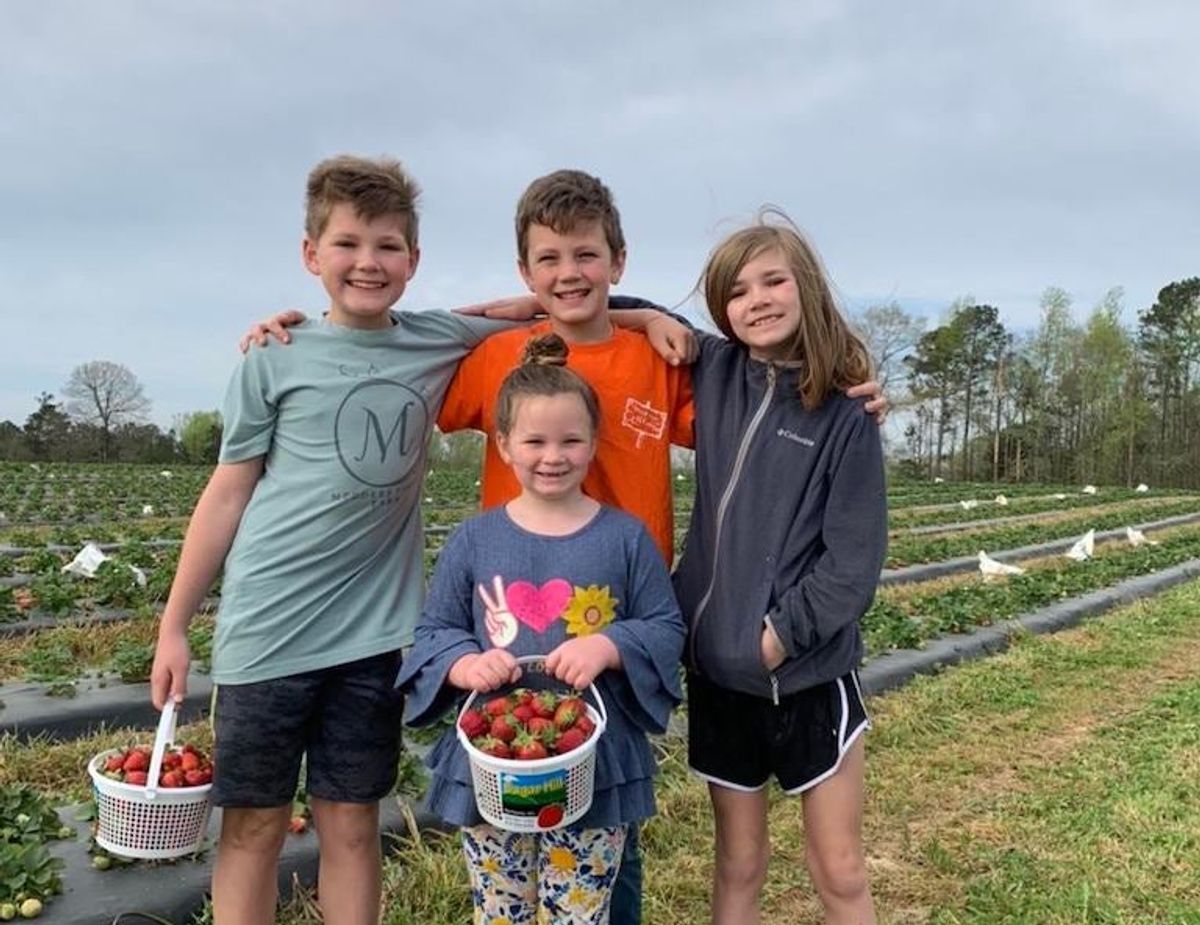 Medders Family Farm to host 5th annual Spring Fling event