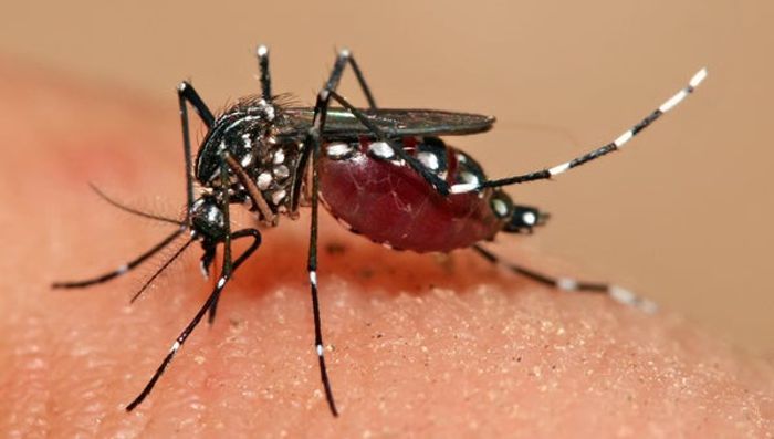 ADPH confirms Zika virus case in Shelby County