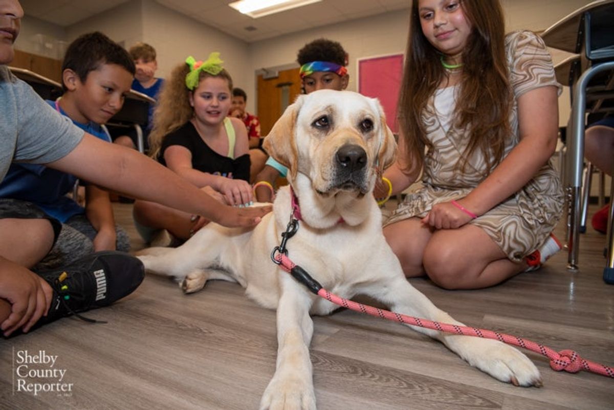 We need more dogs in schools