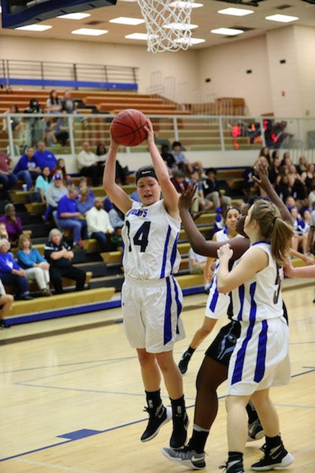 Chelsea's Michaella Edwards named 2017 Player of the Year