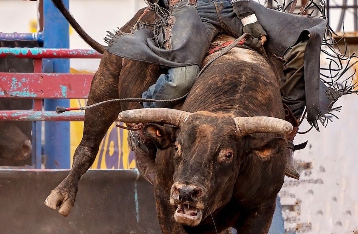Professional rodeo event coming to Pelham Civic Complex in J...