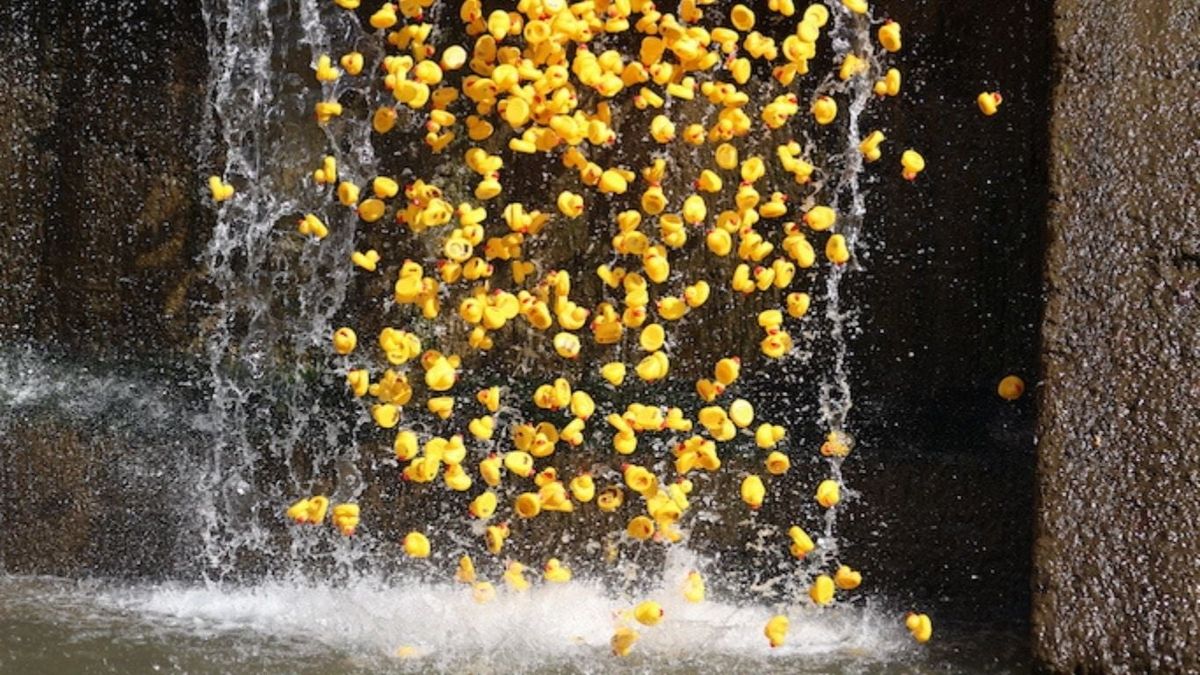 Rubber ducks take over Helena during Buck Creek Festival
