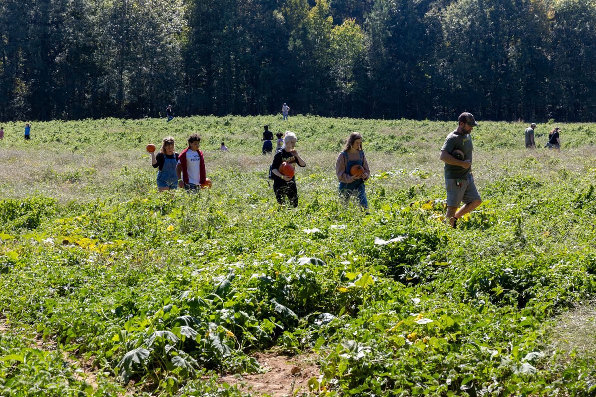 Old Baker Farm ready to welcome back locals to pumpkin patch