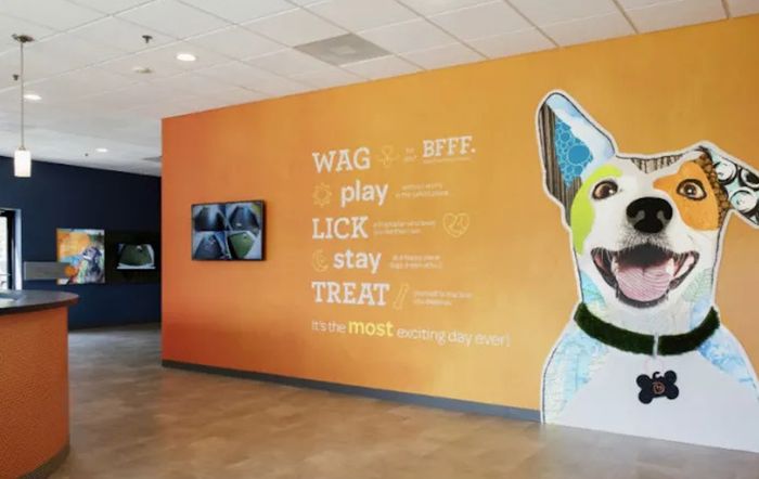 Dogtopia set to come to U.S. Highway 280 corridor