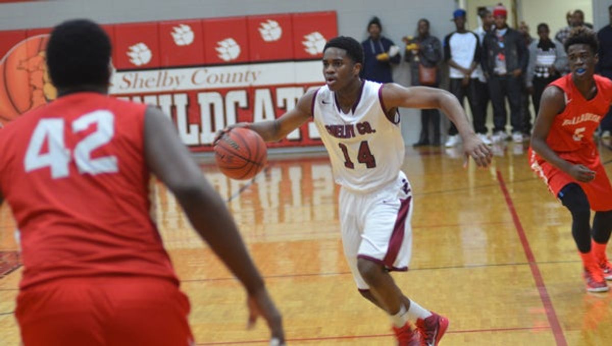 Basketball preview: Shelby County Wildcats