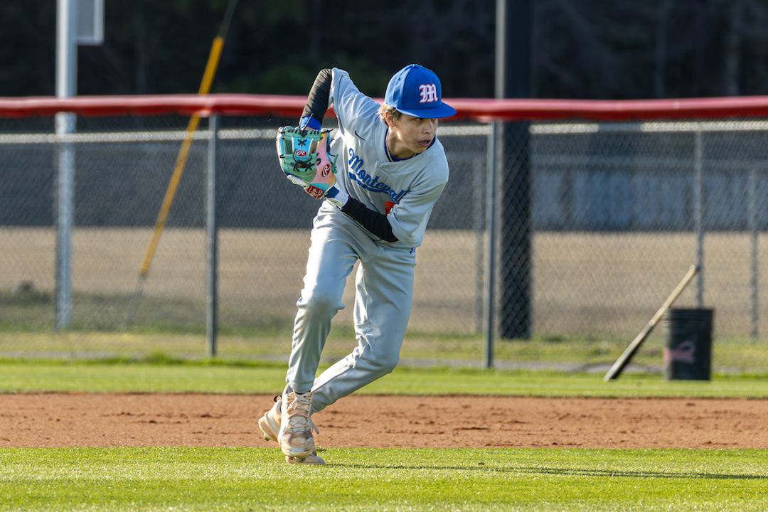 Montevallo baseball preview: young Bulldogs searching for id...