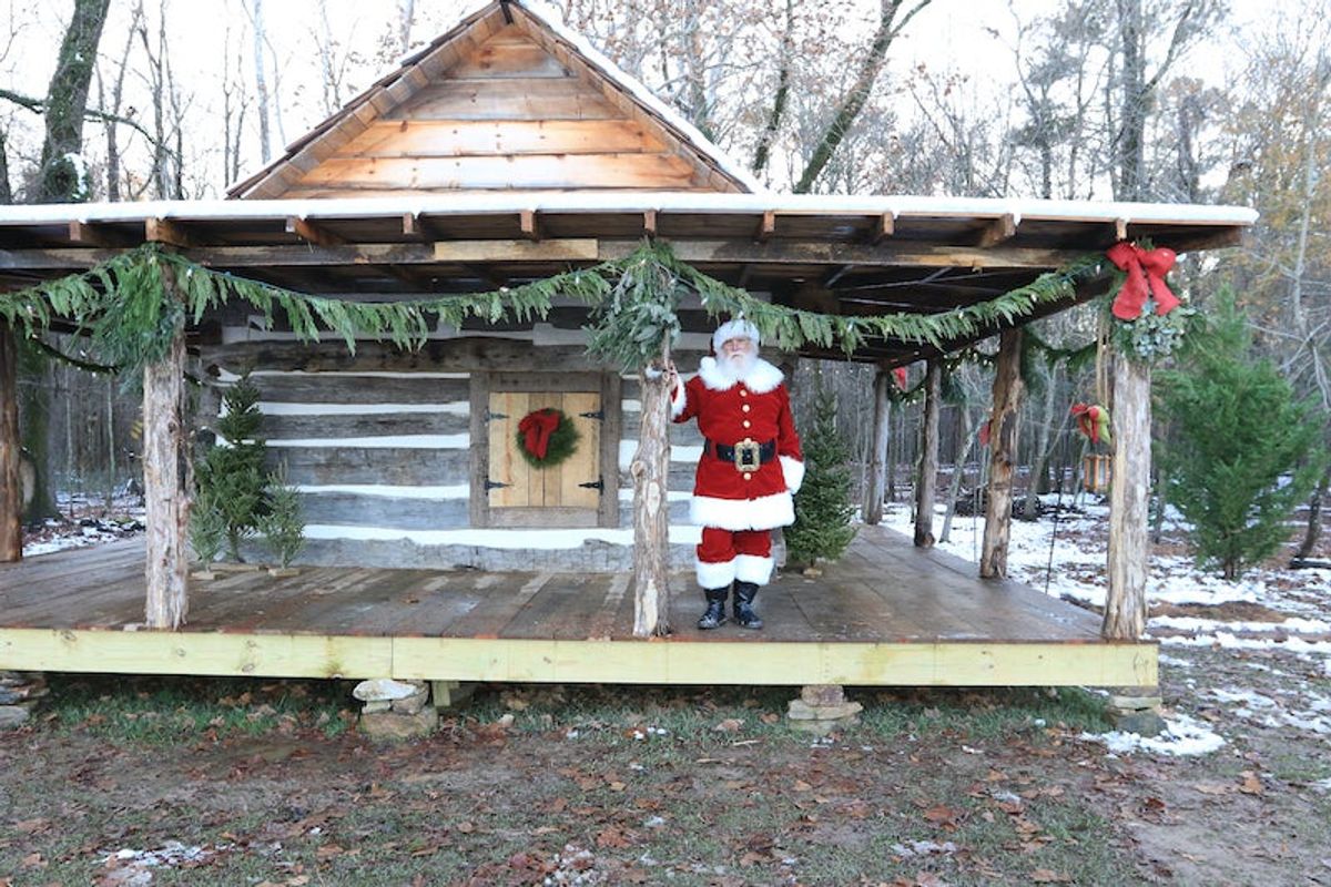 Old Baker Farm announces Christmas tree farm, tree lighting dates