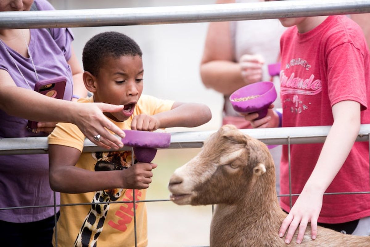 MHS celebrates Farm Day