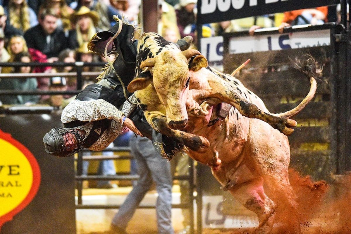 Shelby County Extreme Bulls holds 14th annual rodeo