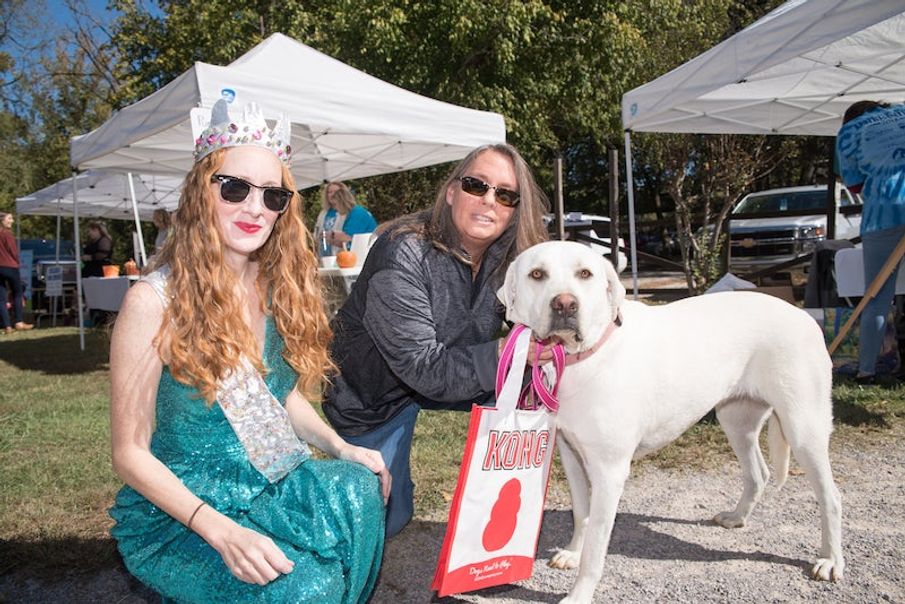 Wilsonville puts teeth on new dog ordinance