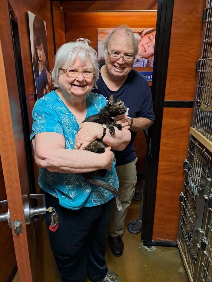 Pawsitive impact: The Country Cattery works to care for felines, bring...
