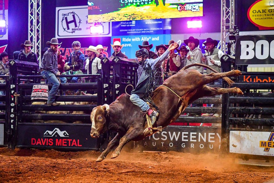 Crowds flock to witness intense bull riding at Shelby County Extreme B...