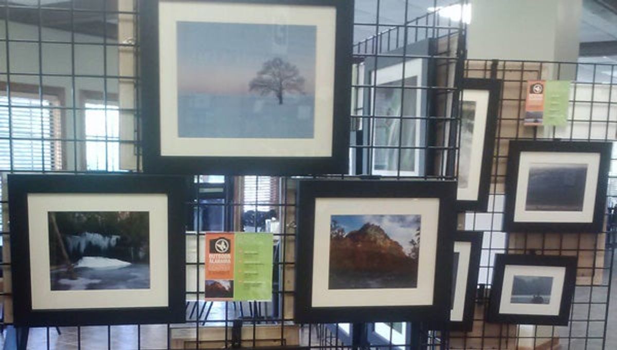 Outdoor Alabama Photo Contest exhibit on display at OMSP