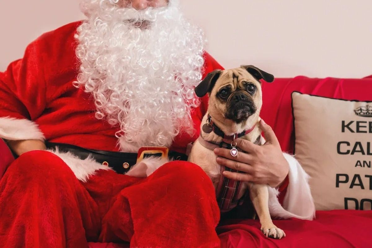 Shelby Humane to hold 4th 'Twas the Night Before Christmas event on De...