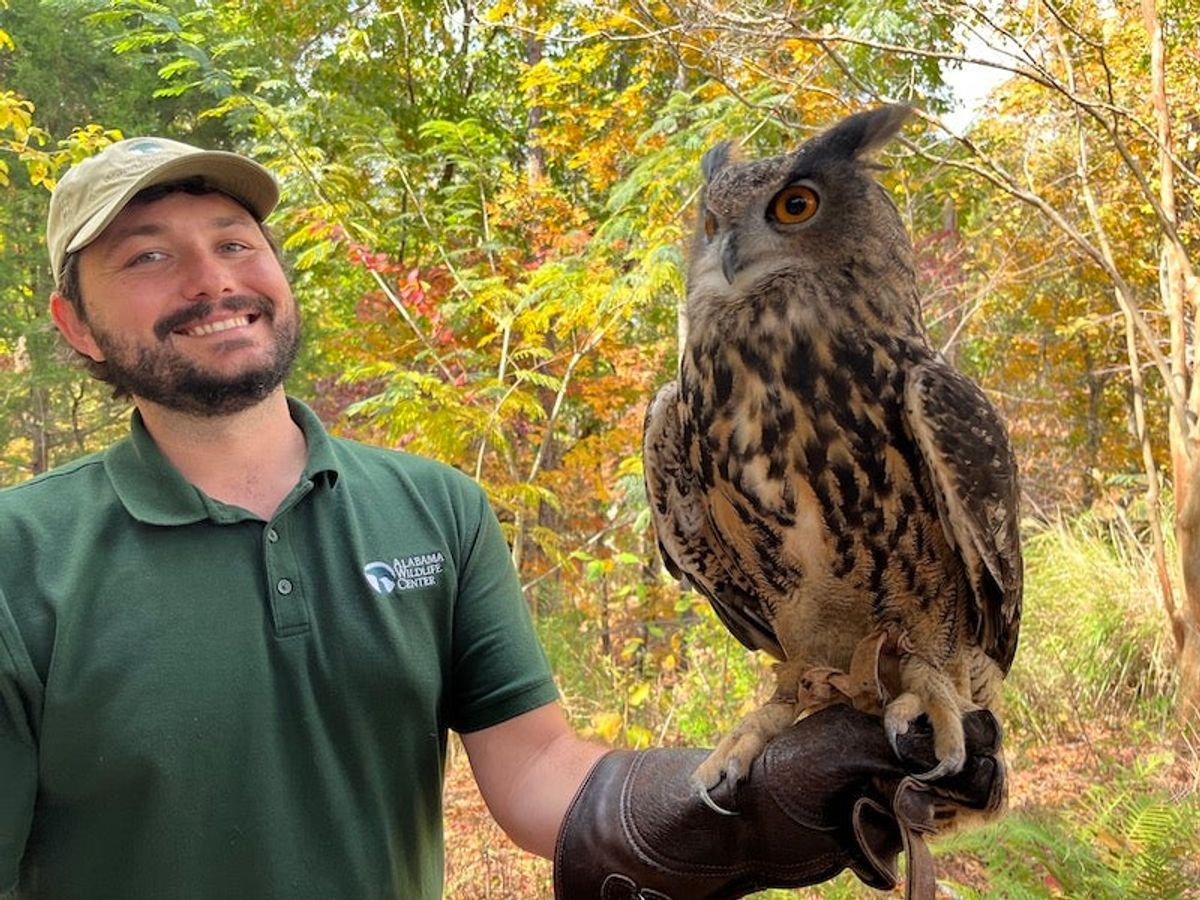 Annual Owl-O-Ween event held at Oak Mountain State Park
