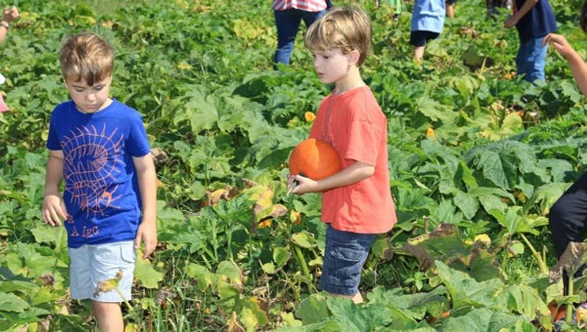Students experience fall days at Old Baker Farm