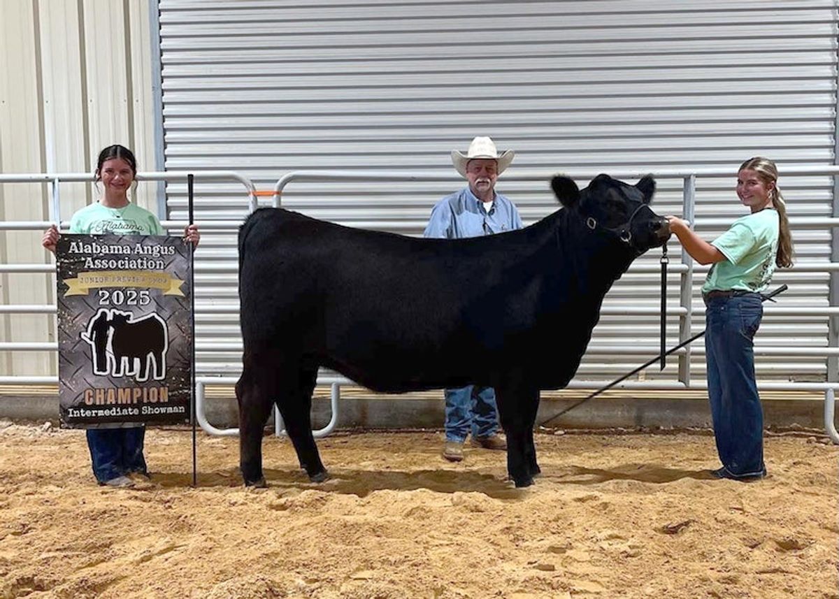 Claire and Lillian Smith shine at junior angus show and field day