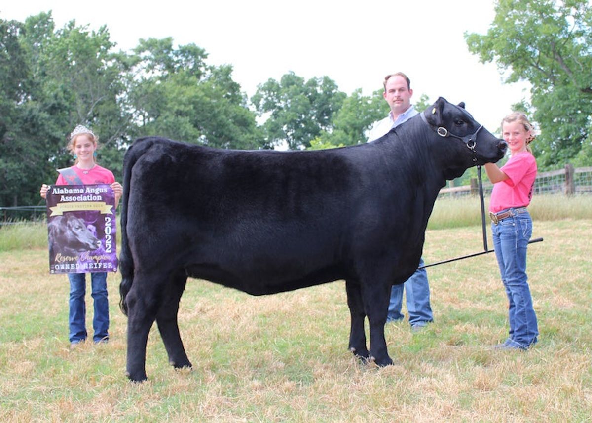 Claire Smith places at Alabama Angus Association Junior Preview Show