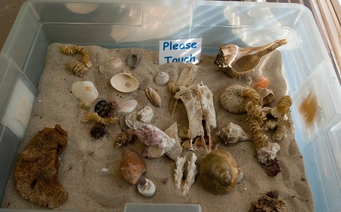 Dauphin Island Mobile Lab brings sea to students (photo gallery)