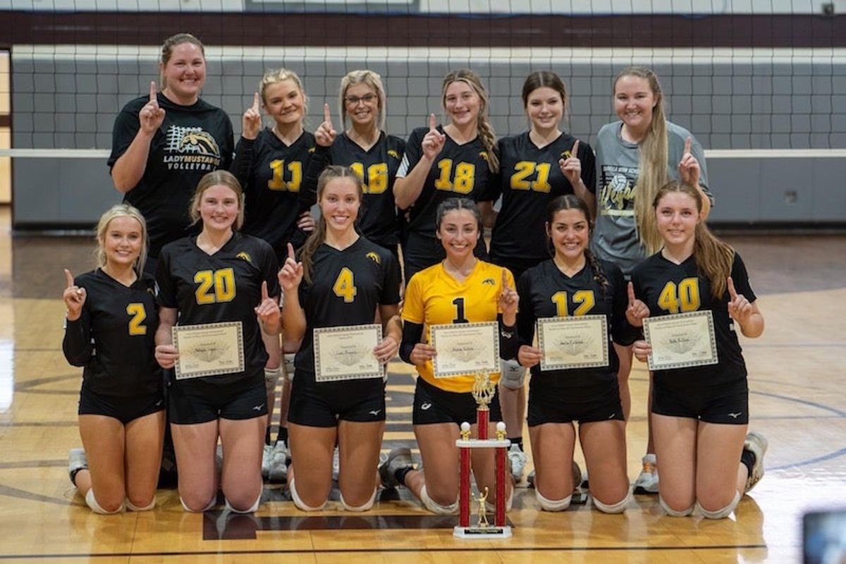 Mustangs take county volleyball tournament title