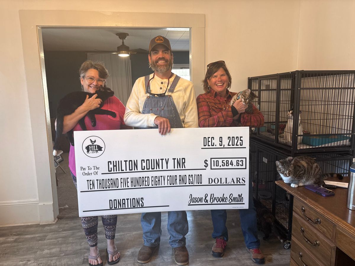 Local cat star, farm raises thousands for Chilton County TNR...