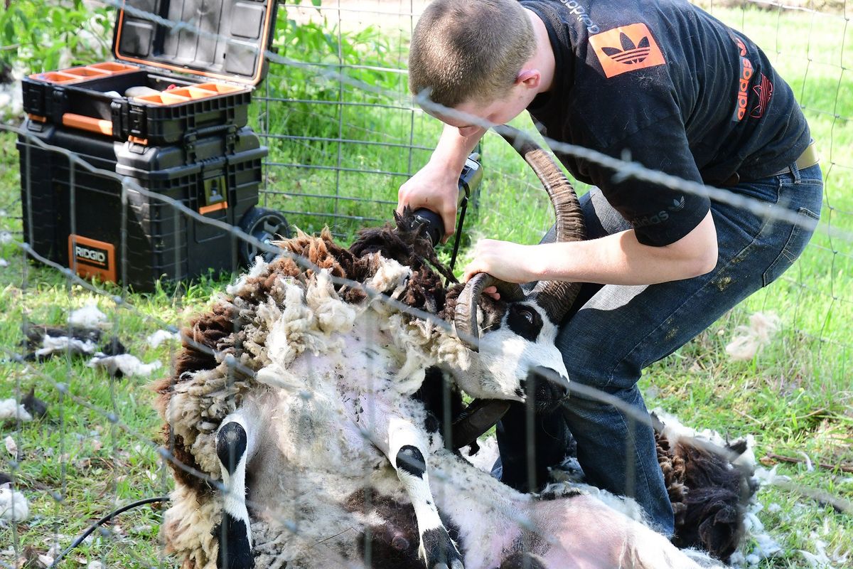Work goes on at local animal farm
