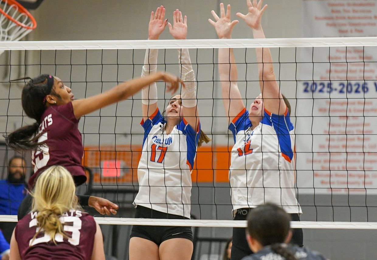 Tigers tame home court, win area volleyball title