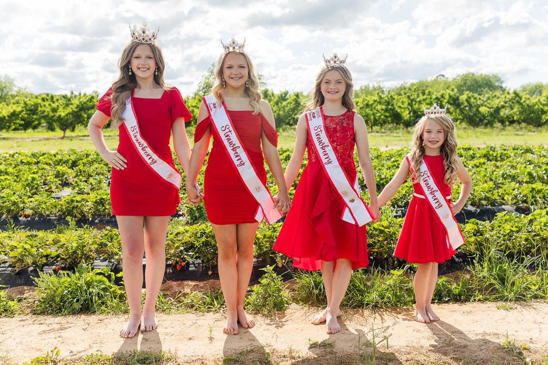 Sweet Signs — Fifth annual Miss Strawberry Pageant sign ups ...