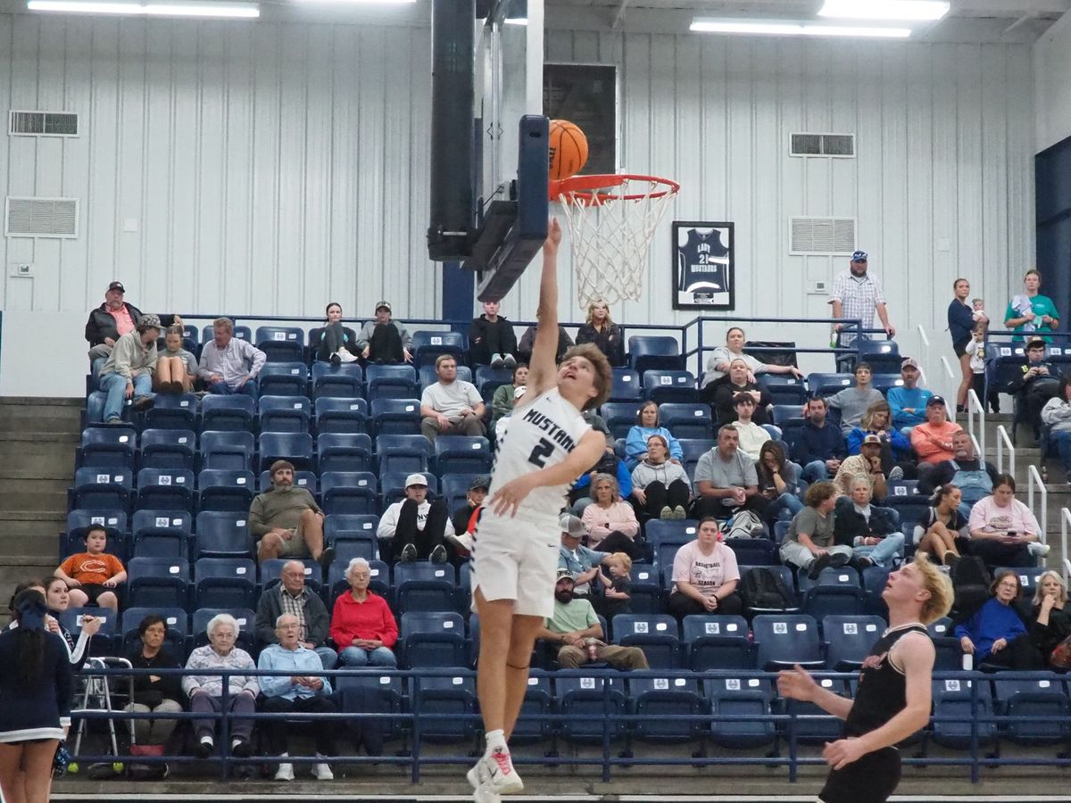Tigers, Lady Tigers round up