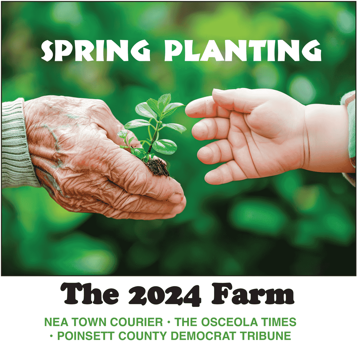 2024 Spring Planting