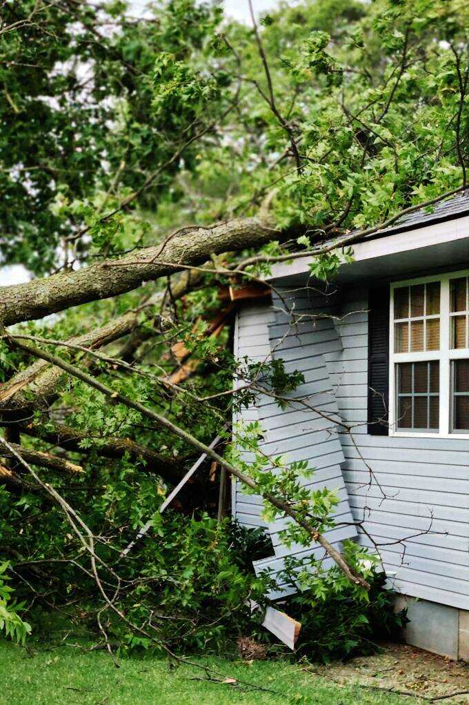 Tree falls on home