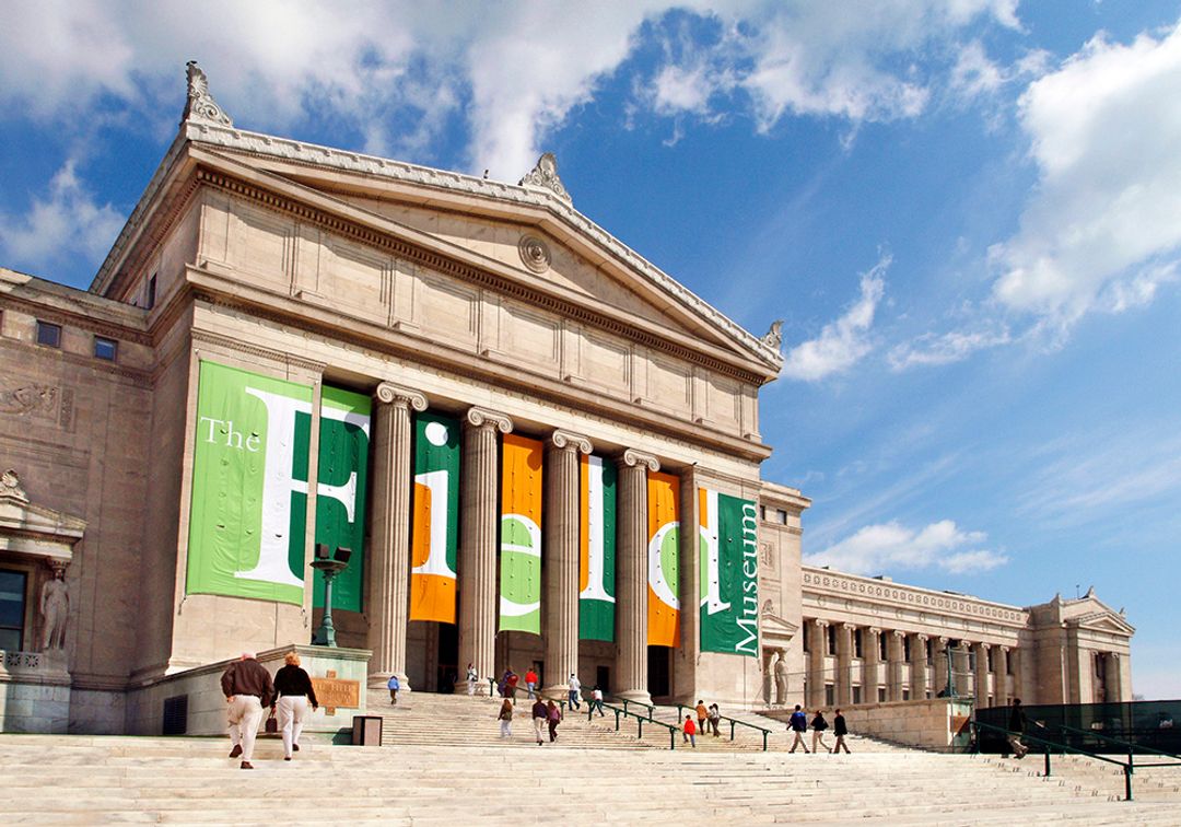 5 Chicago museums are offering free admission on Martin Luther King Jr...