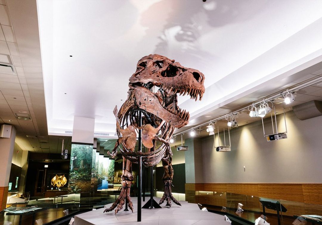 How to Access Free Museum Passes from Chicago Public Library