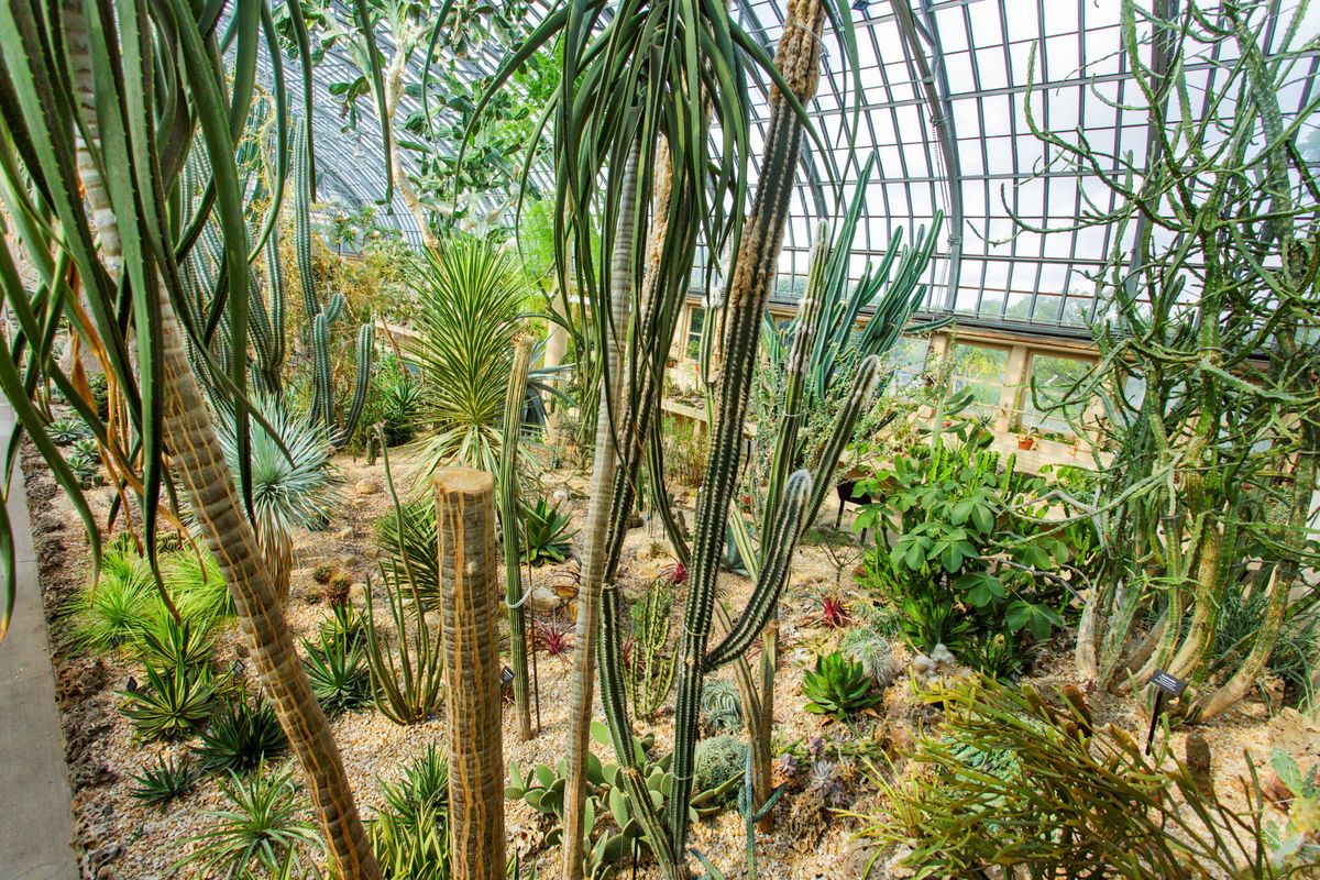 Check out the best indoor nature centers for kids in Chicago