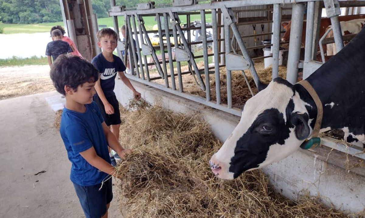 This St. Charles Farm Lets Your Kids Get Up Close with Adora...