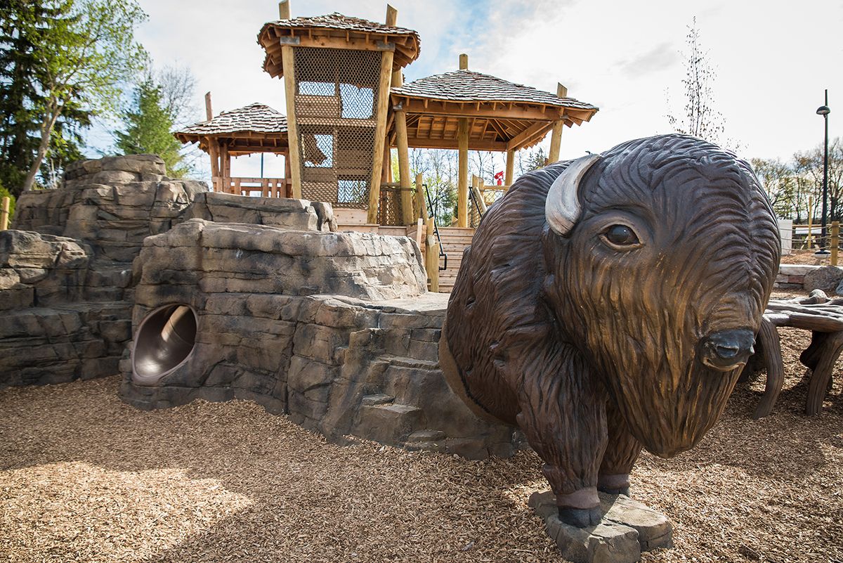 Let your kids go wild in Chicago at Bison's Bluff Nature Pla...